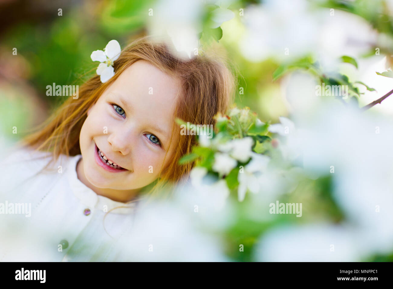 Adorable little girl in in blooming apple tree garden on spring day Stock Photo - Alamy
