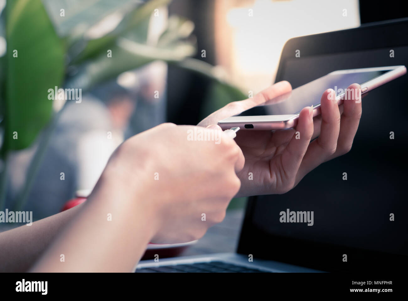 woman hand hold the charging cable plugging the smart mobile phone ...