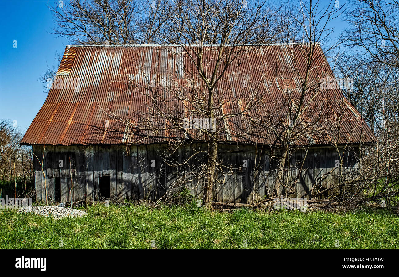 An aging barn with a rusting tin roof Stock Photo - Alamy