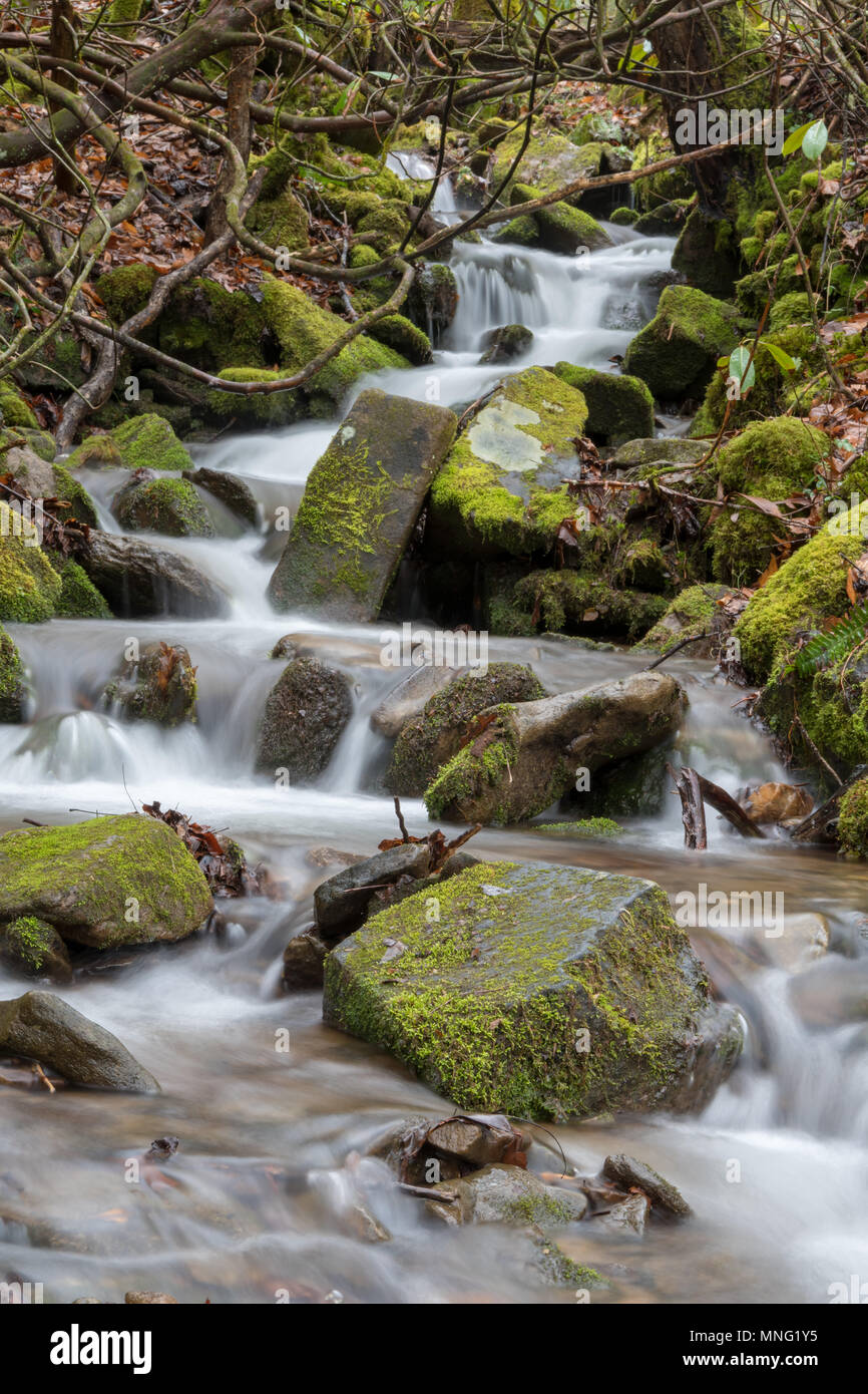 Slow motion water cascade rushing hi-res stock photography and images ...