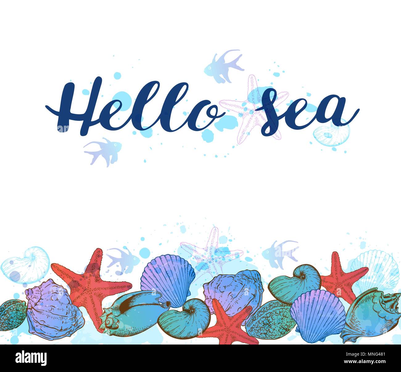 Hand drawn sea shells on a white background. Hello sea lettering Stock ...