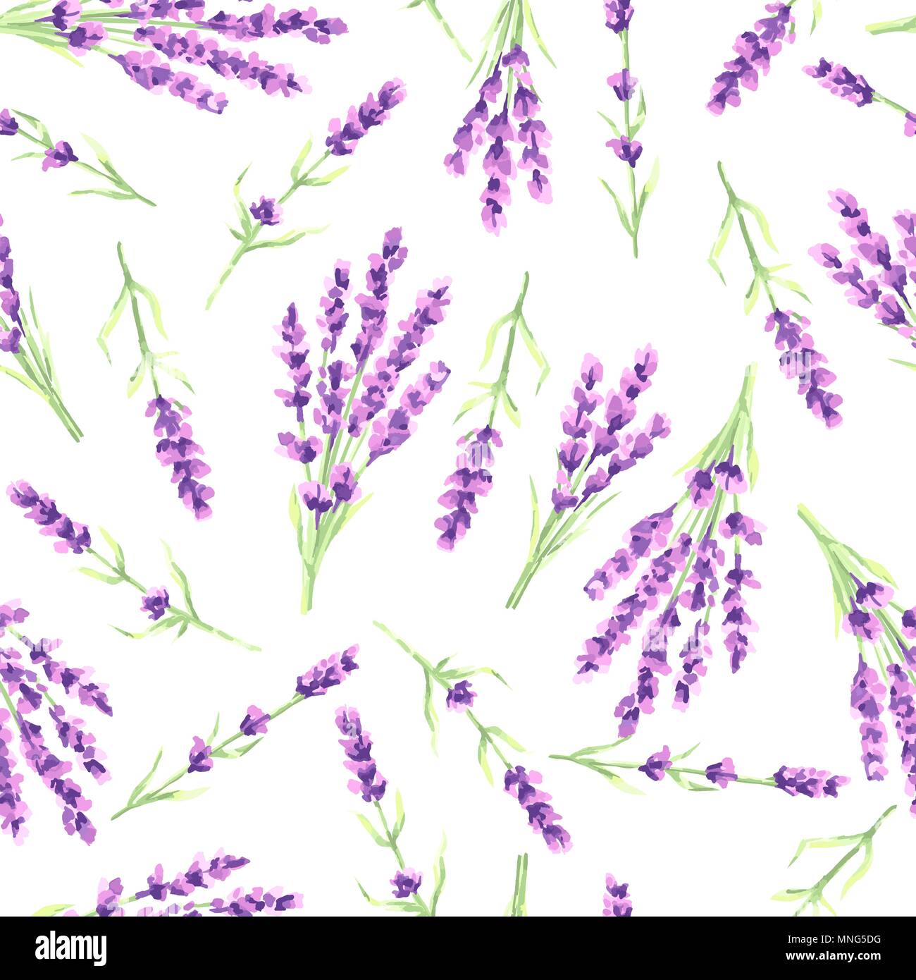 Lavender flowers seamless pattern. Watercolor natural illustration of ...