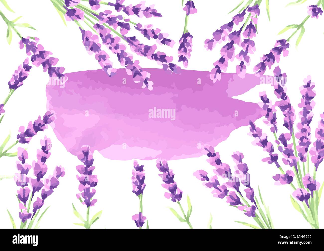 Lavender flowers background design Stock Vector Image & Art - Alamy