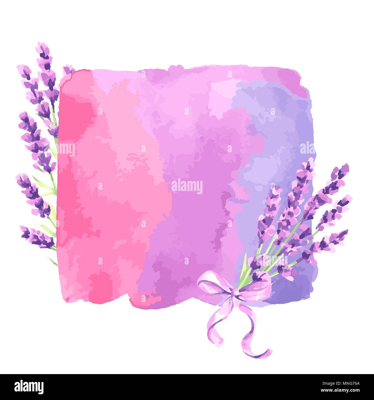 Lavender flowers background design Stock Vector Image & Art - Alamy