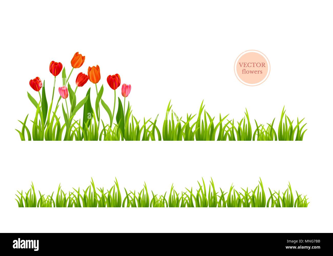 Realistic grass vector Cut Out Stock Images & Pictures - Alamy