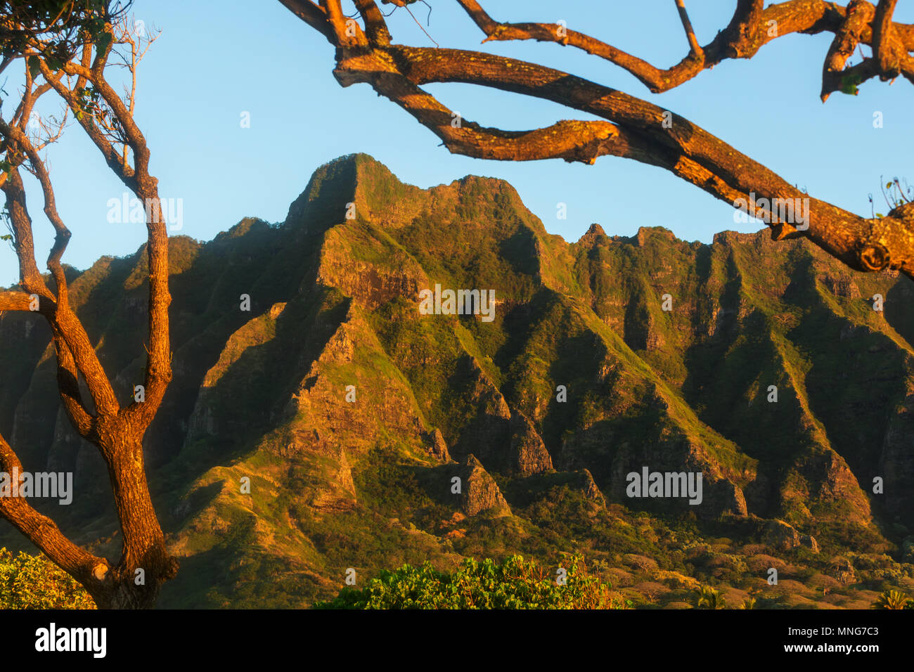 Beautiful landscapes in Oahu island, Hawaii Stock Photo - Alamy