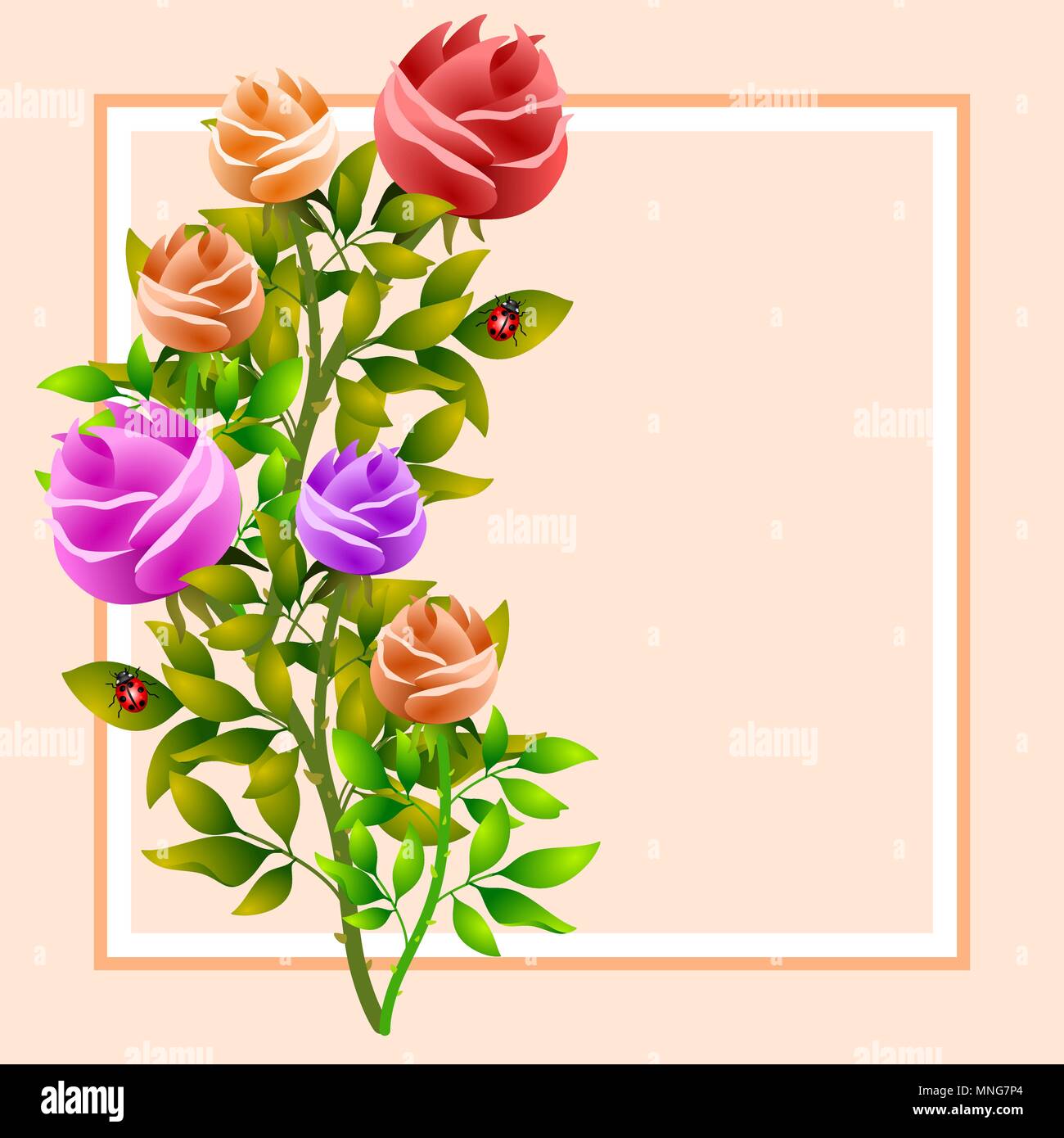 Beautiful frame roses in Stock Vector Images - Alamy