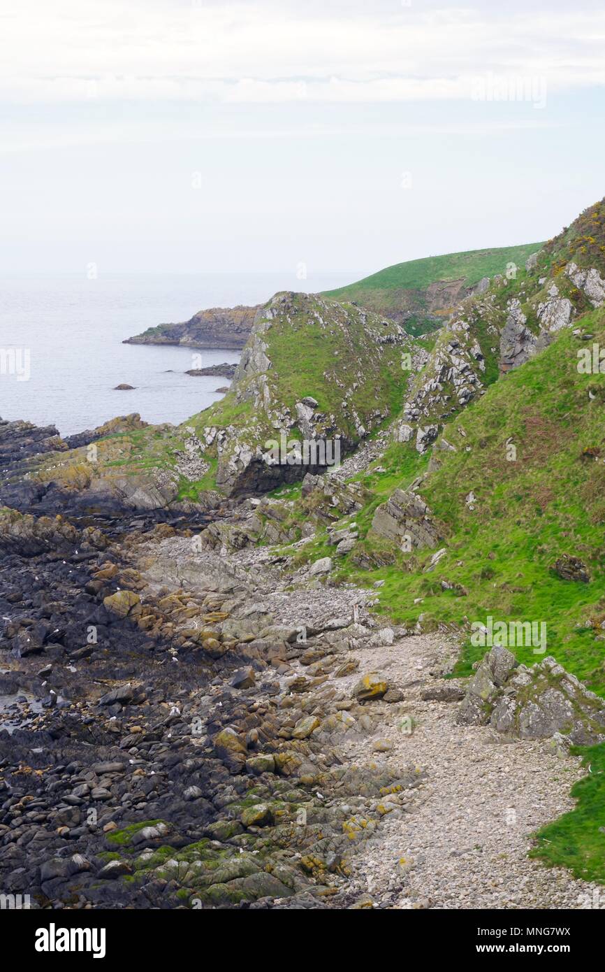 Geology and Rocks of the Banffshire coast at Findlater Castle, Sandend ...