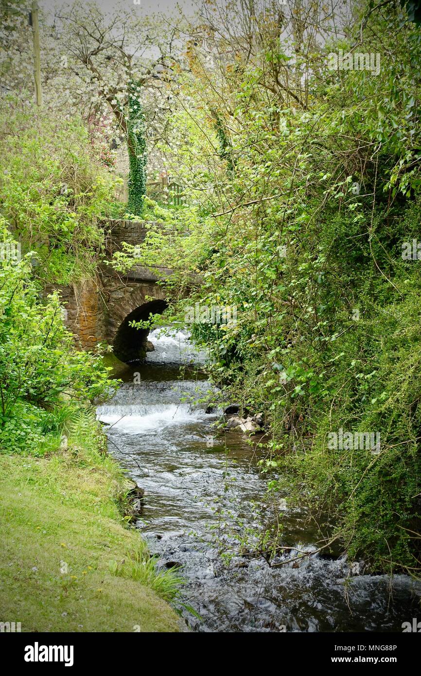 Orchard Terrace, Tuckenhay, Devon Stock Photo - Alamy