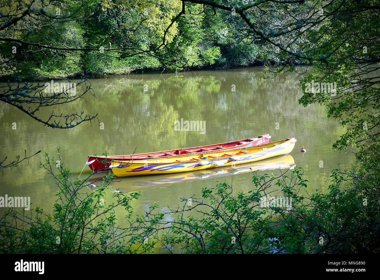 Tuckenhay devon hi-res stock photography and images - Alamy