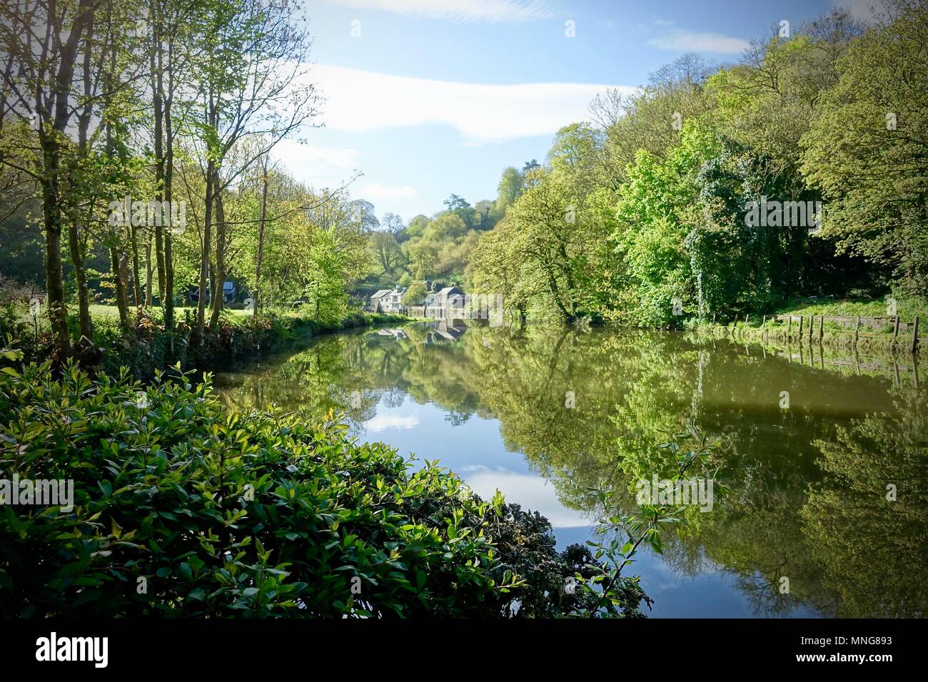 Bow devon hi-res stock photography and images - Alamy
