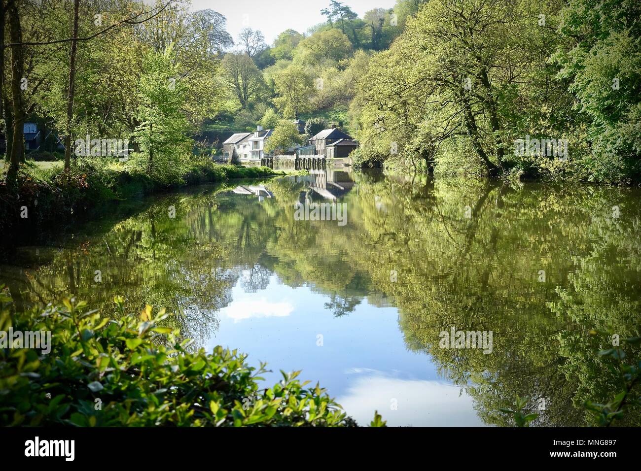 Bow devon hi-res stock photography and images - Alamy