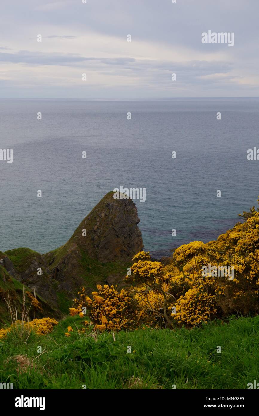 Vegetated cliff hi-res stock photography and images - Alamy