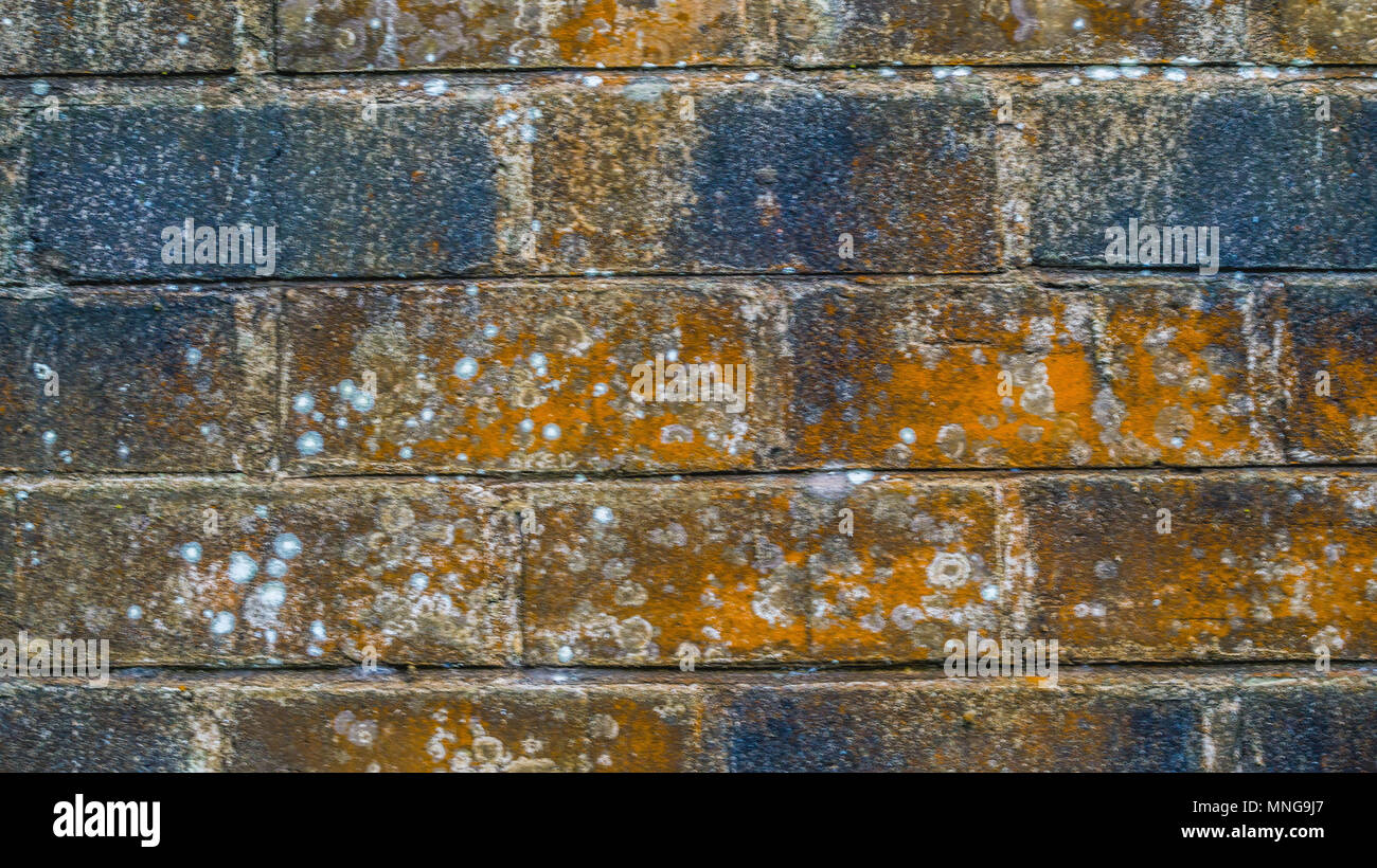 old weathered wall background Stock Photo - Alamy