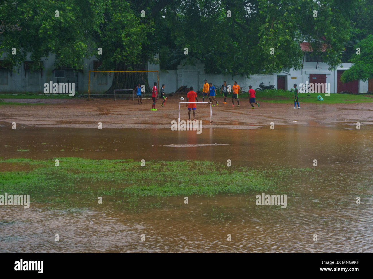 Rain drenched hi-res stock photography and images - Alamy