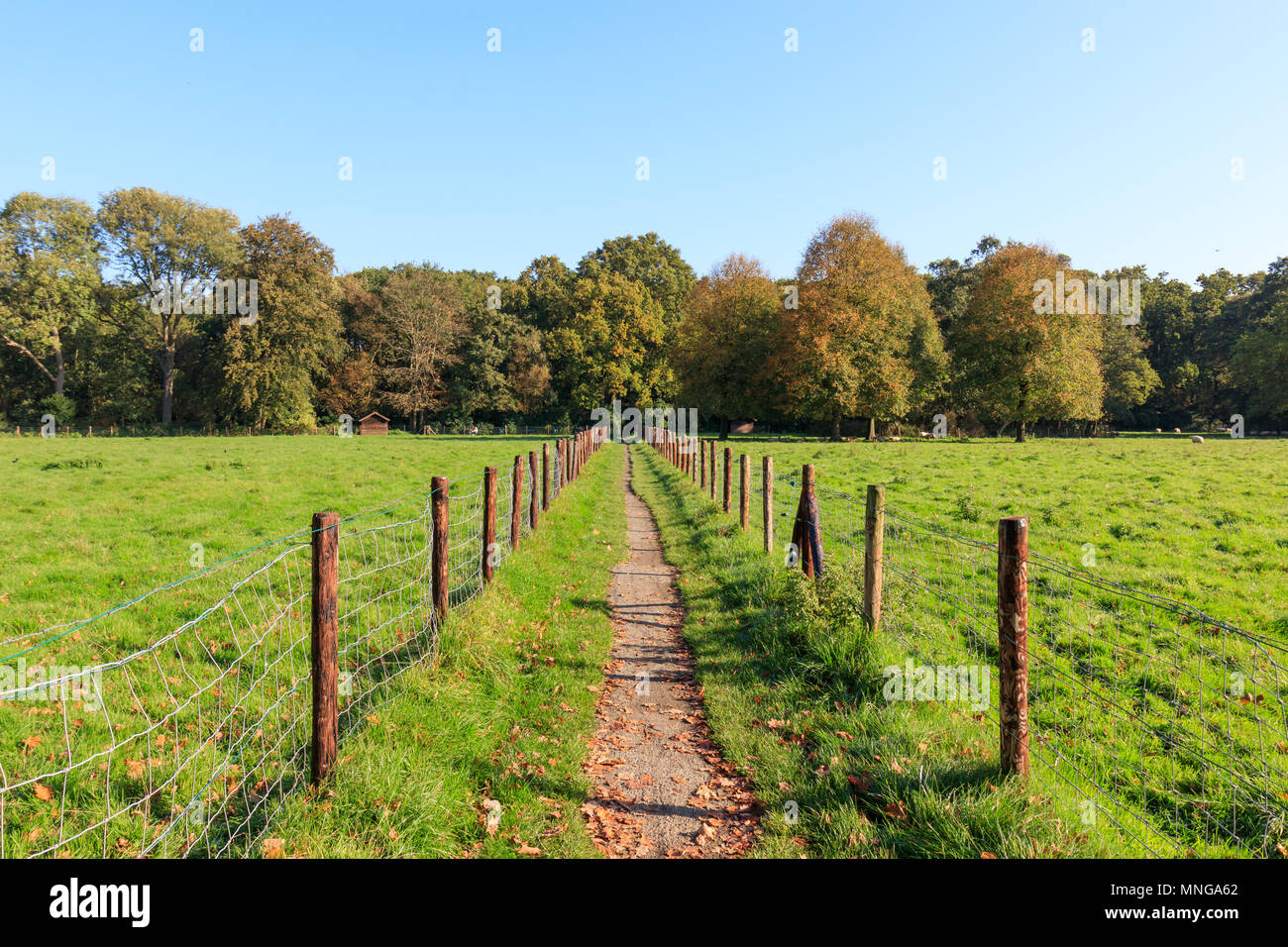 Small way hi-res stock photography and images - Alamy
