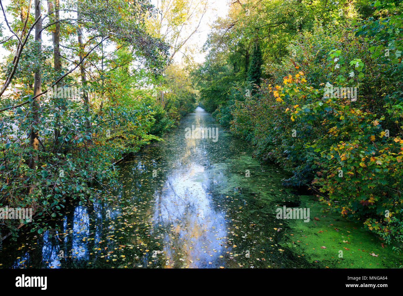 Haagse forest hi-res stock photography and images - Alamy