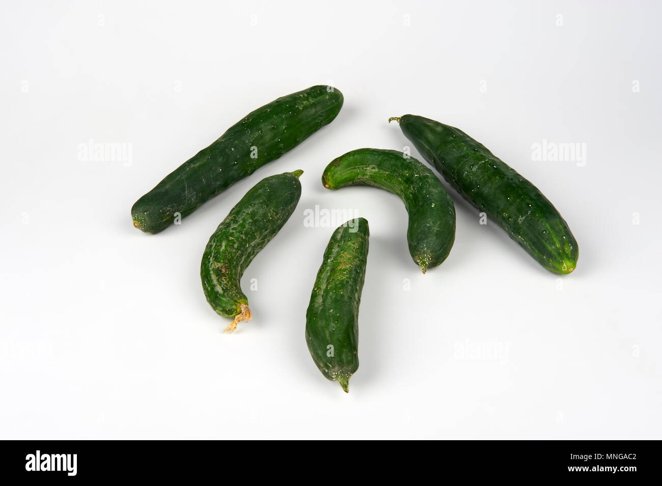 some biological cucumbers on white background Stock Photo - Alamy