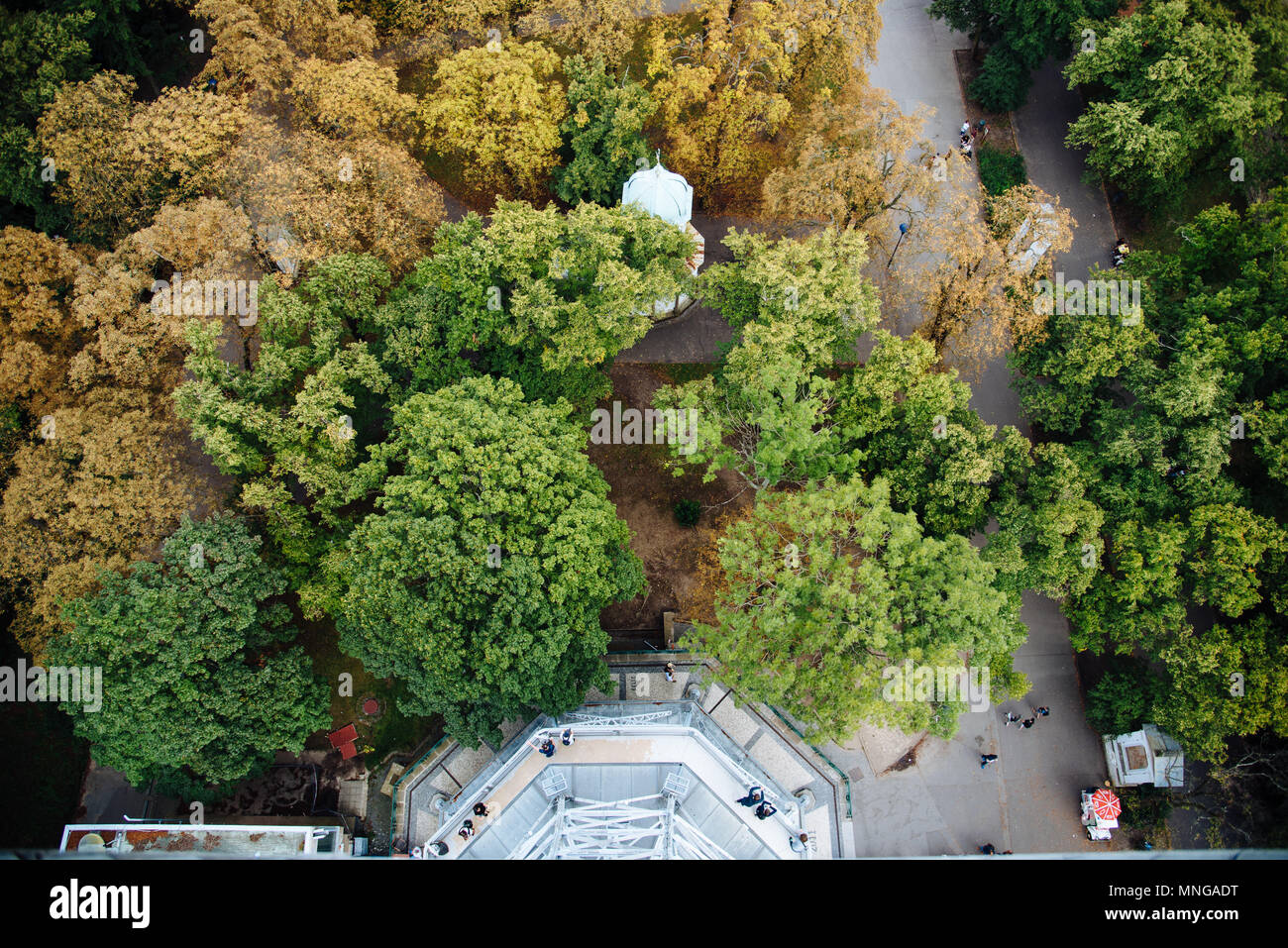 Prague trees hi-res stock photography and images - Alamy
