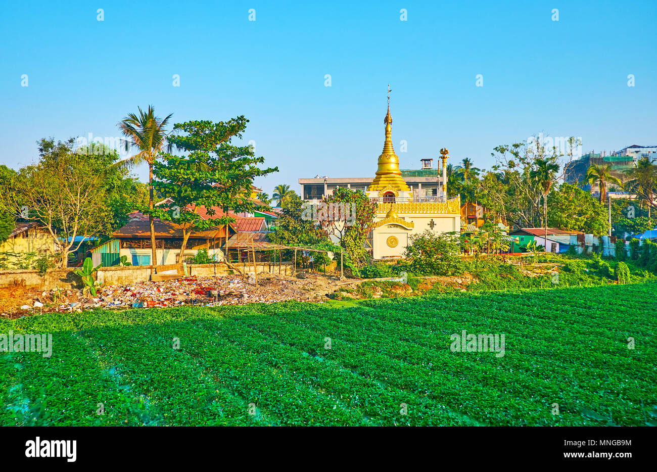 The farm lands by the railroad with beautiful golden stupa of Buddhist ...