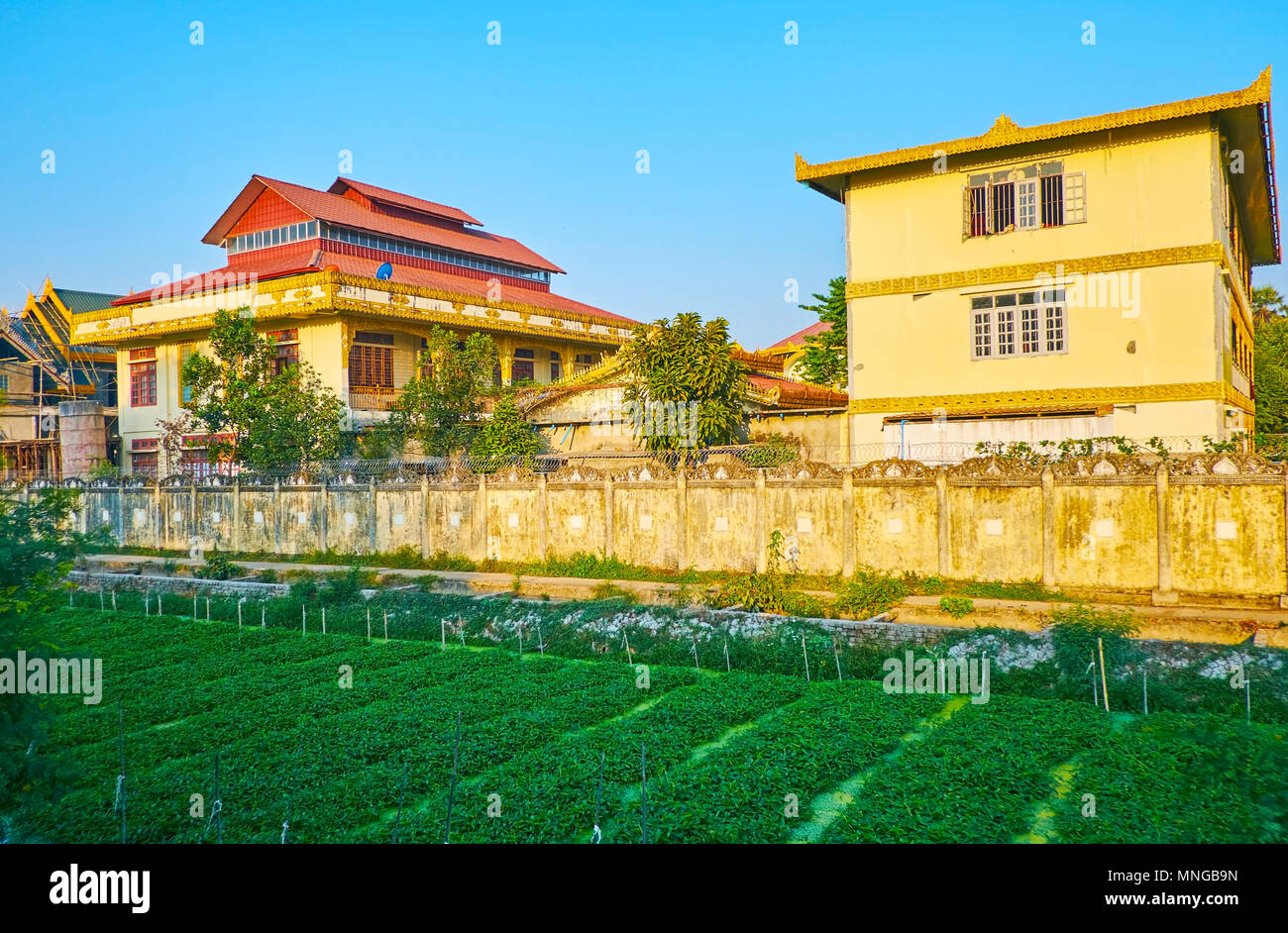 Tamwe hi-res stock photography and images - Alamy