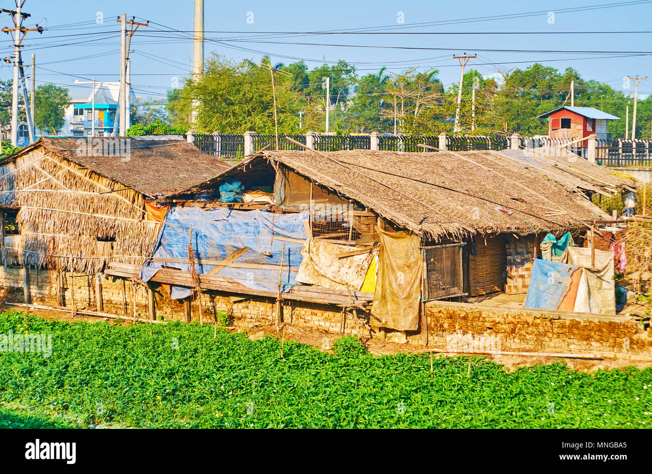 The slums in countryside area of East Dagon Township, locals use lands ...