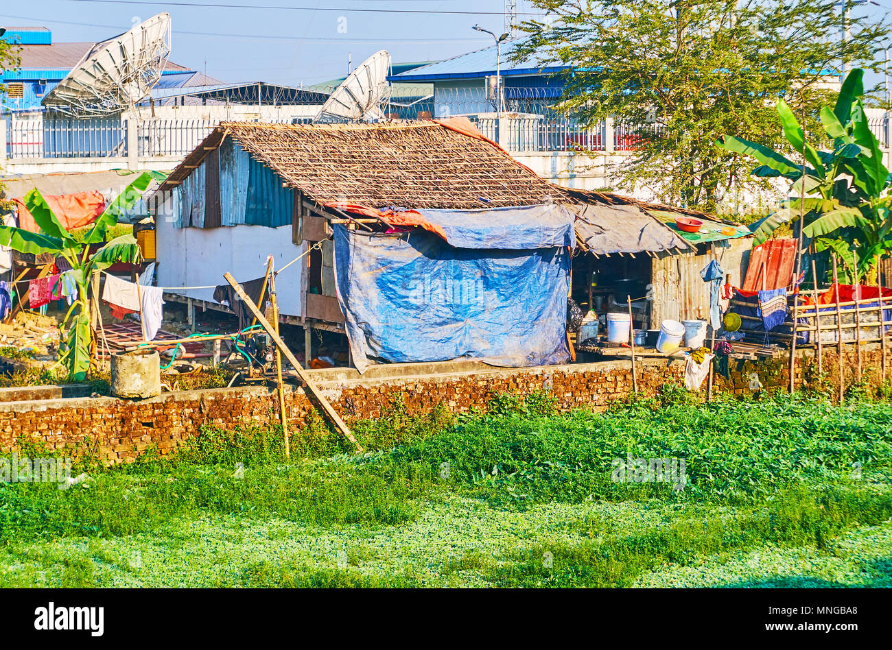 Slum greenery hi-res stock photography and images - Alamy