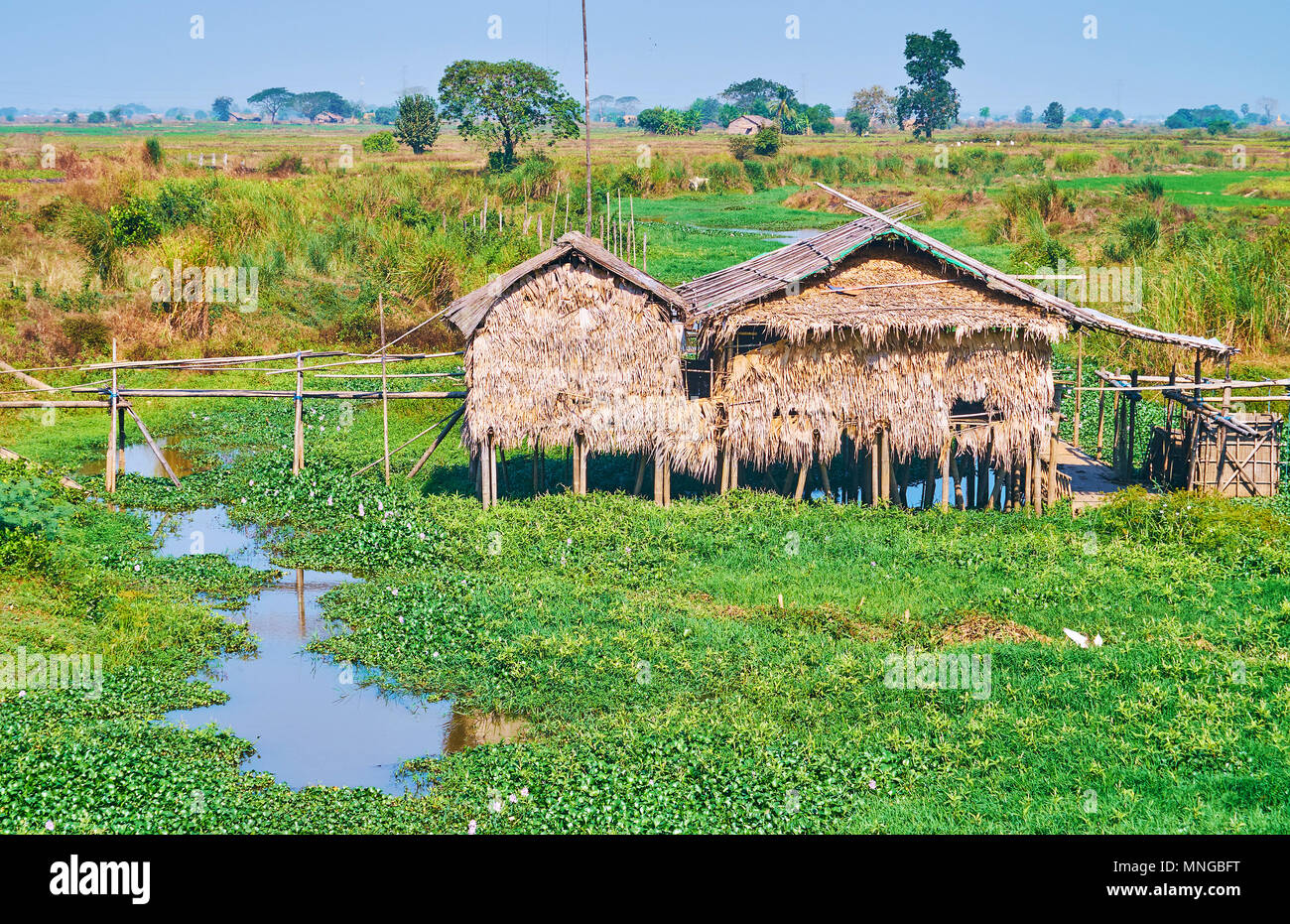 The old stilt houses, made of woven palm leaves, stand on water garden ...