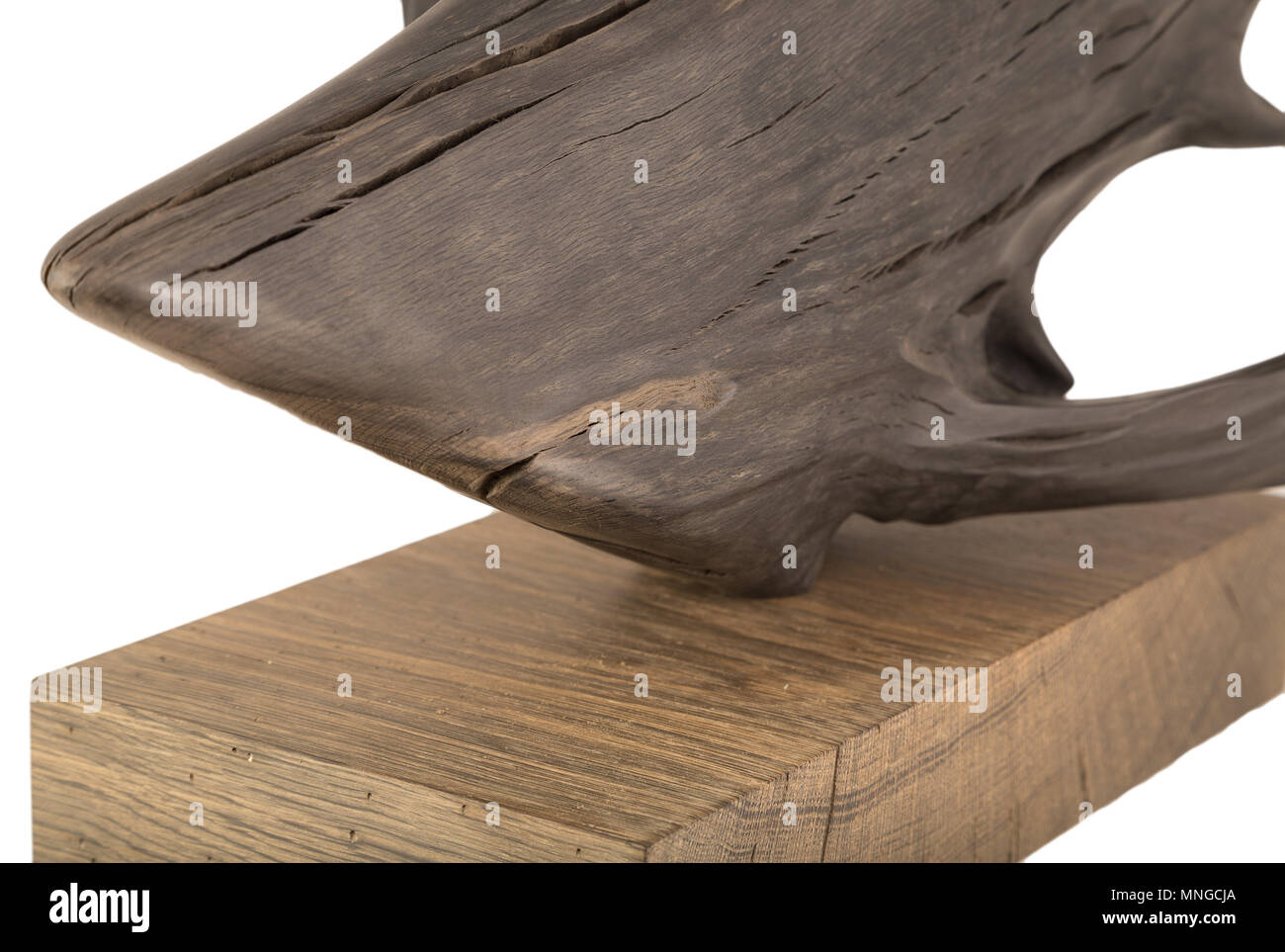 A product made from the roots of an old oak tree on a white background ...