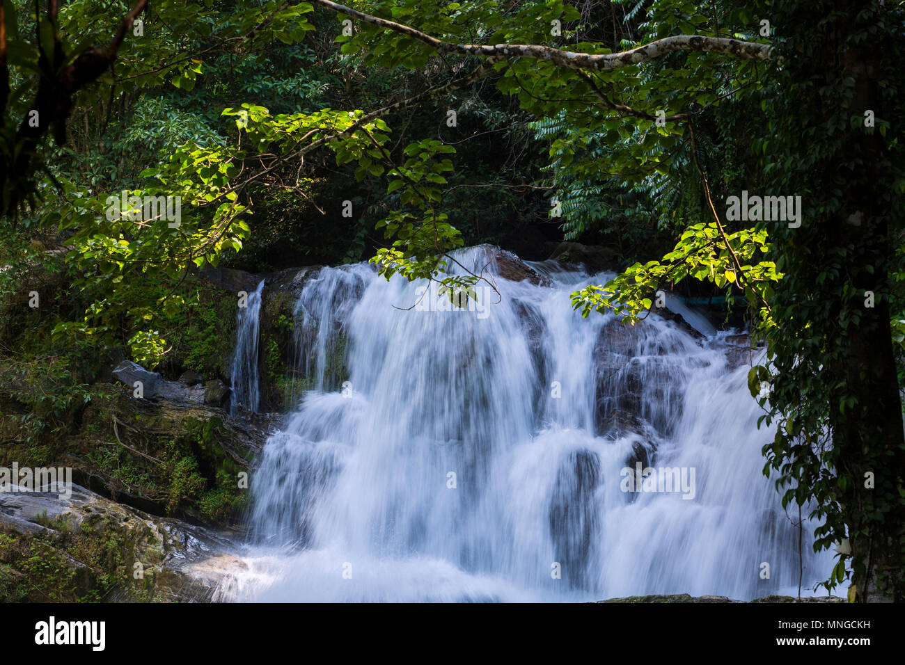 Ton Tok Waterfall, Trang, Southern Thailand - Asia Stock Photo - Alamy