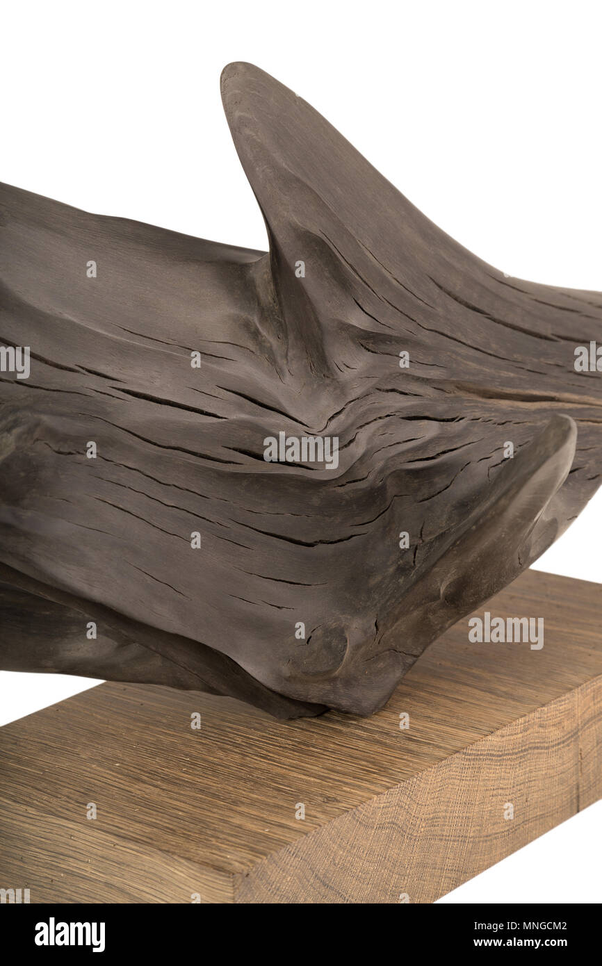 A product made from the roots of an old oak tree on a white background ...