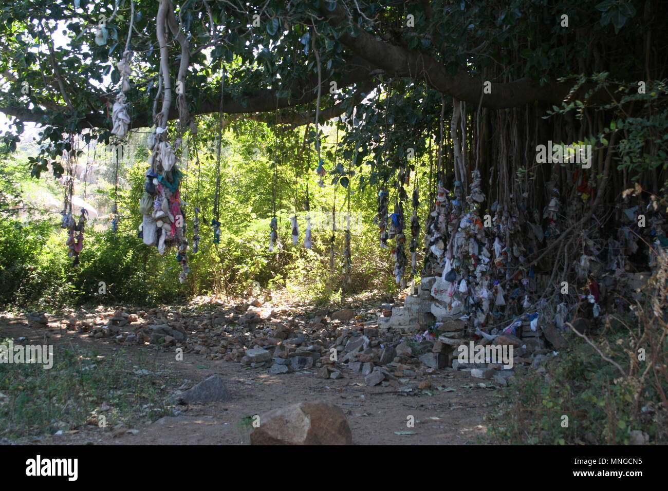 Litter Tree, Hampi, India Stock Photo - Alamy