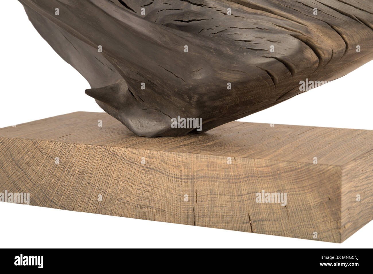 A product made from the roots of an old oak tree on a white background ...