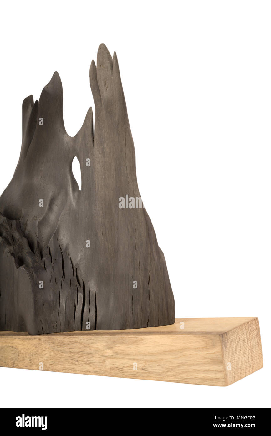 A product made from the roots of an old oak tree on a white background ...