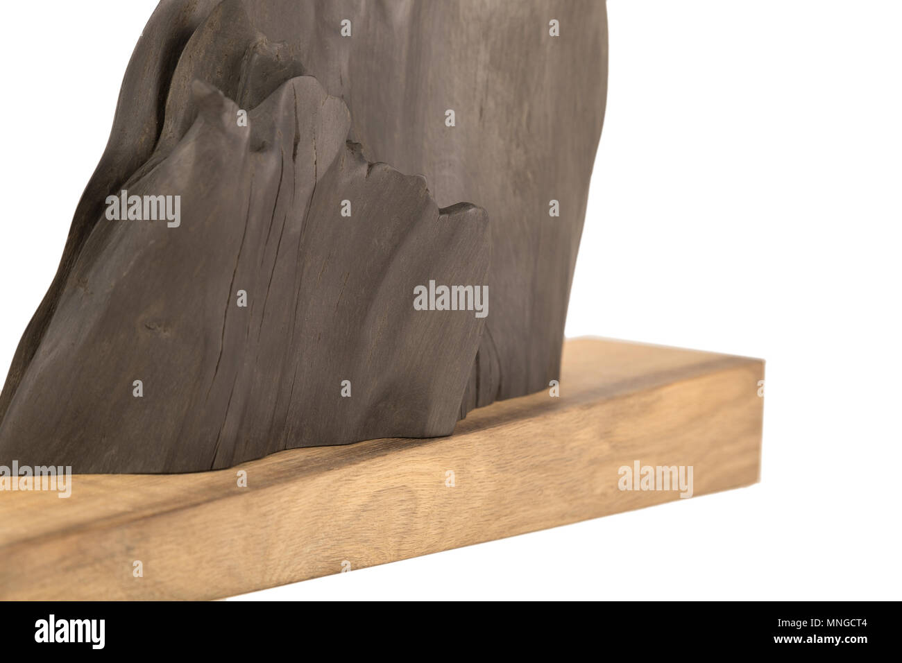 A product made from the roots of an old oak tree on a white background ...