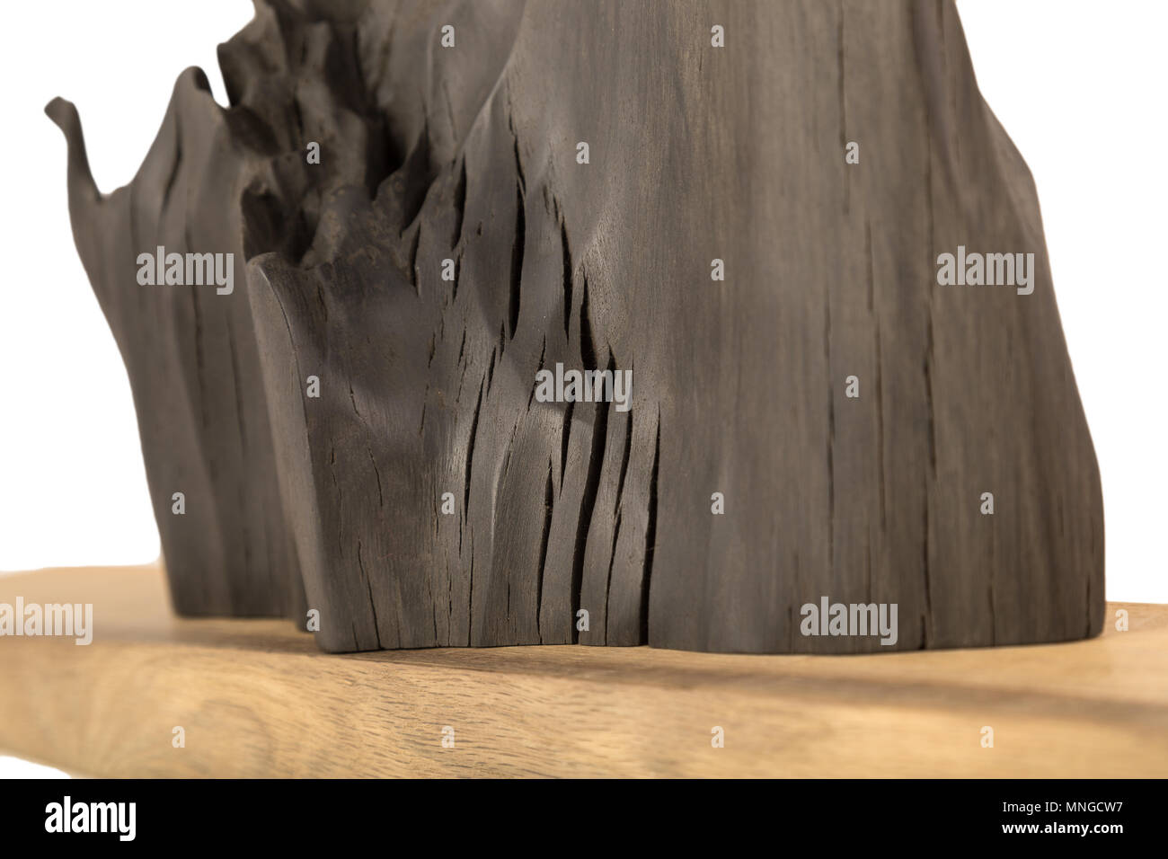 A product made from the roots of an old oak tree on a white background ...