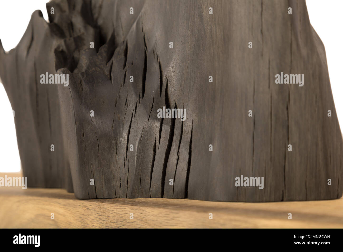 Oak tree roots hand hi-res stock photography and images - Alamy