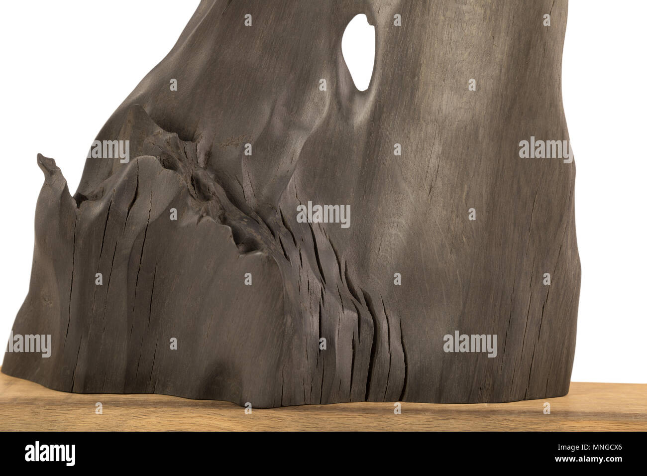 A product made from the roots of an old oak tree on a white background ...