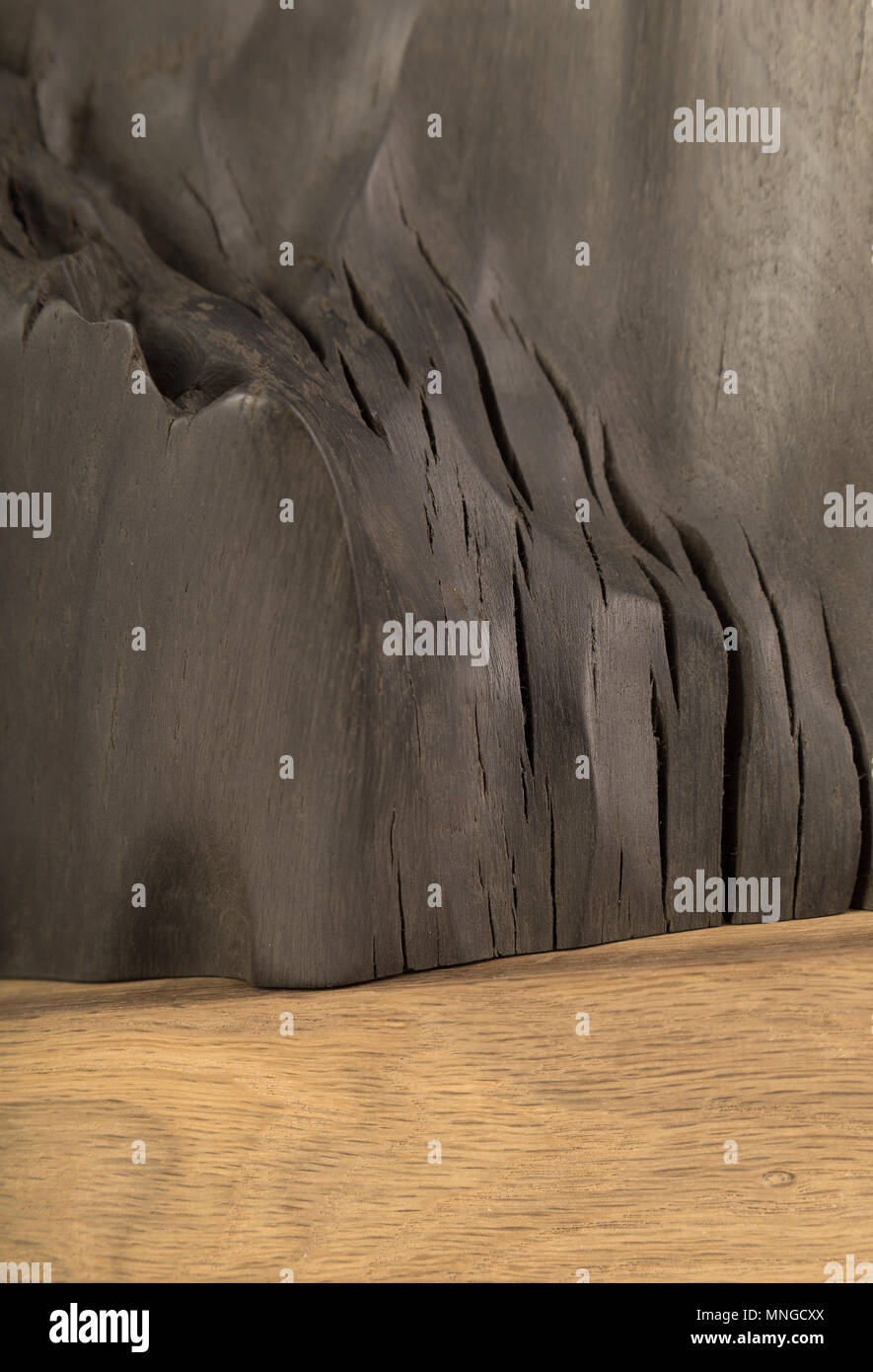 A product made from the roots of an old oak tree on a white background ...