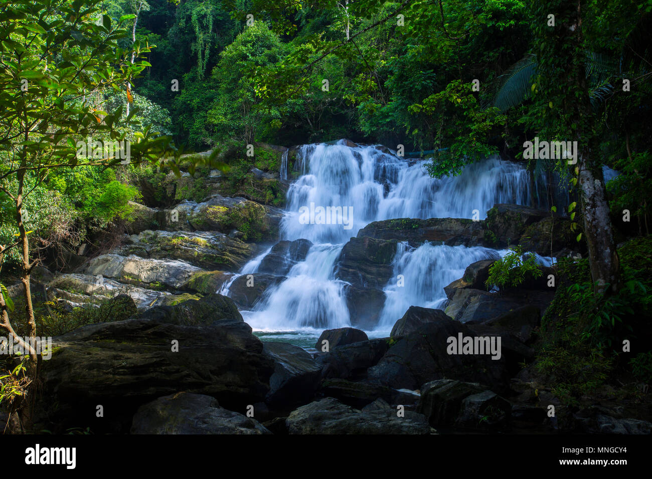 Ton Tok Waterfall, Trang, Southern Thailand - Asia Stock Photo - Alamy