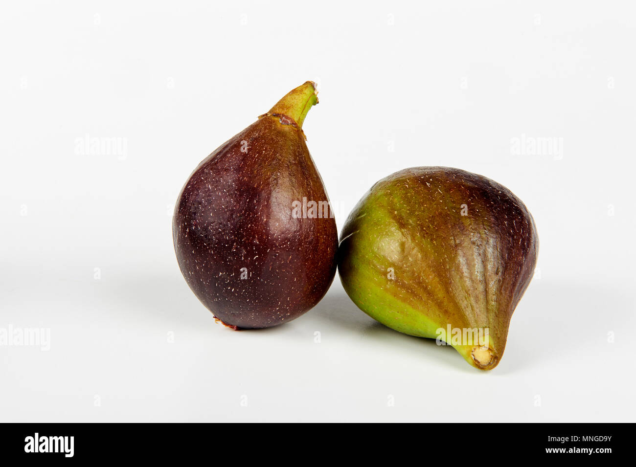 two figs on white background Stock Photo - Alamy