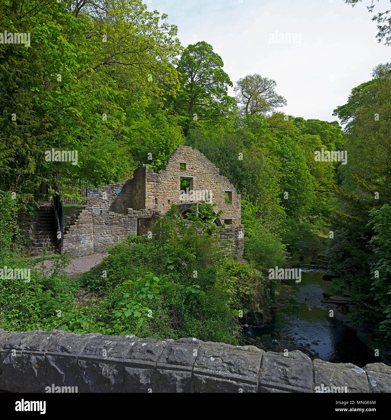 Newcastle Upon Tyne Countryside High Resolution Stock Photography and ...