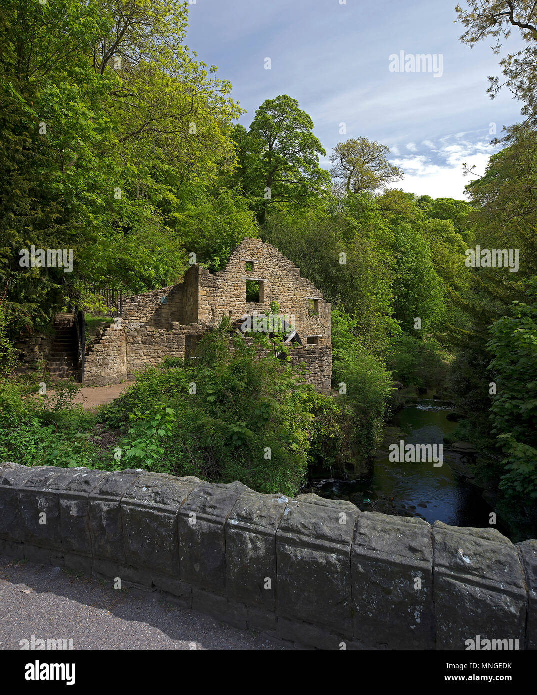 Jesmond dene park in newcastle hi-res stock photography and images - Alamy