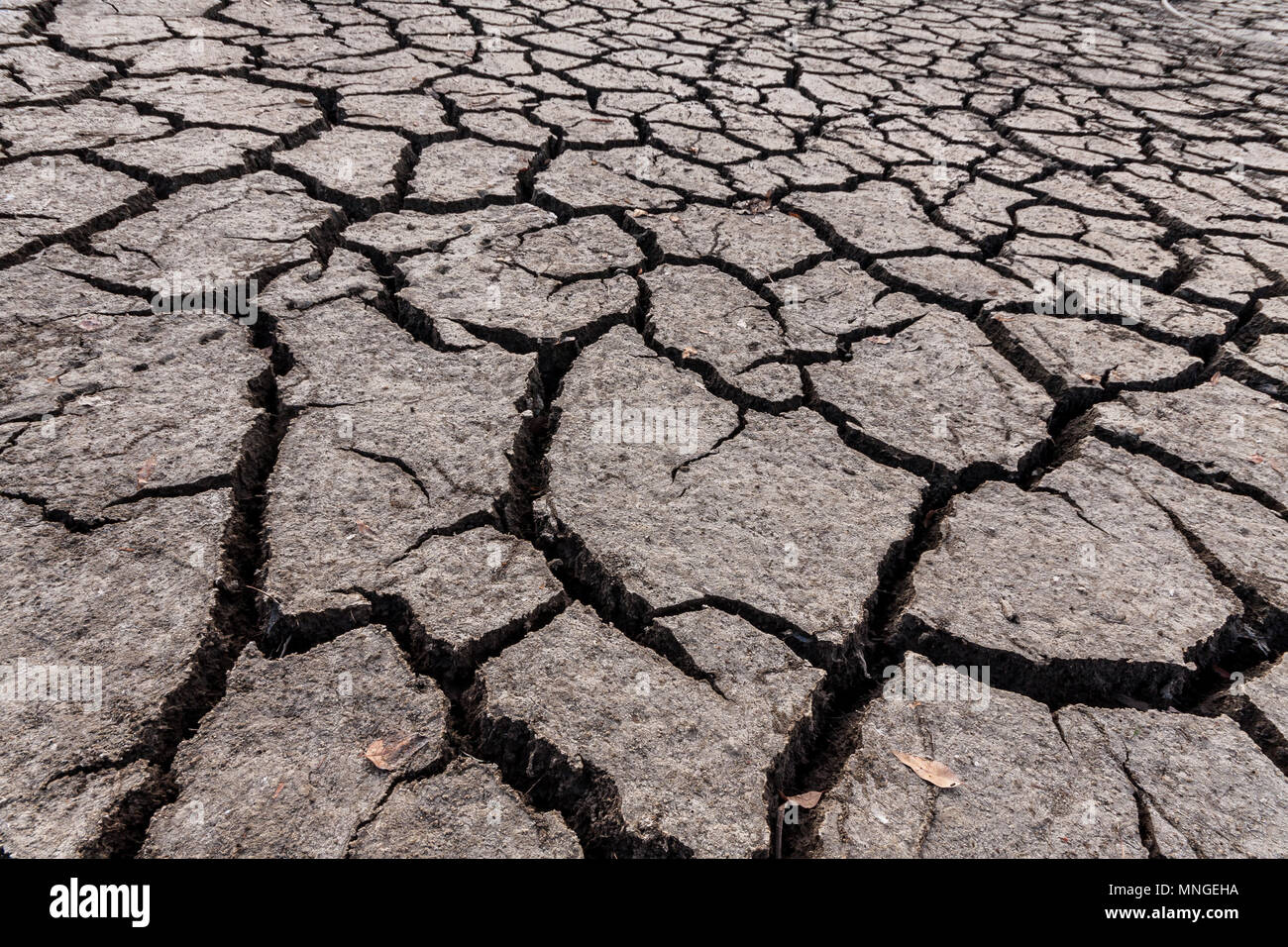 Close up Cracked dry mud in empty dam Stock Photo - Alamy