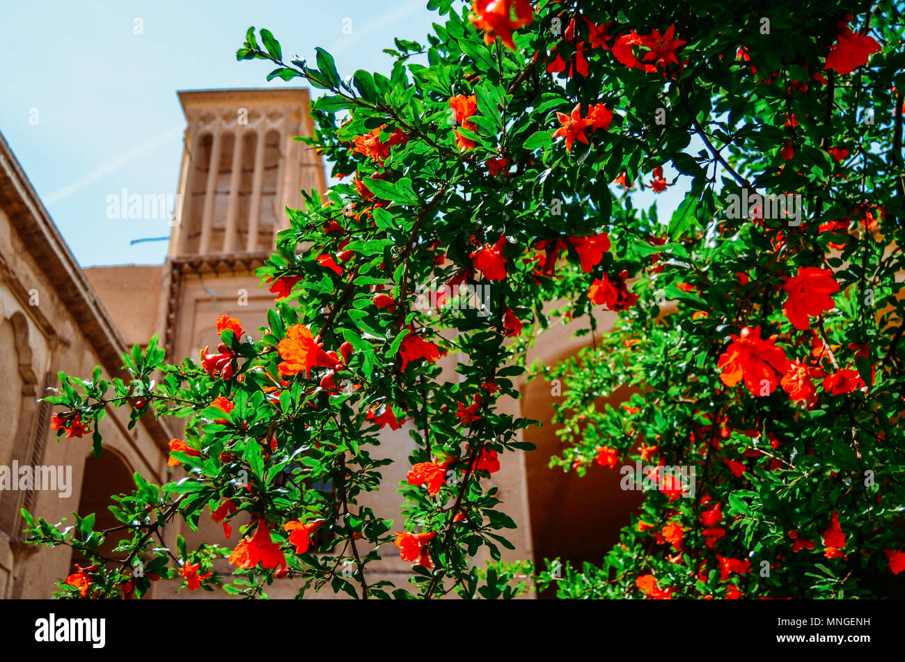 Windcatcher towers is a traditional Persian architectural element to ...