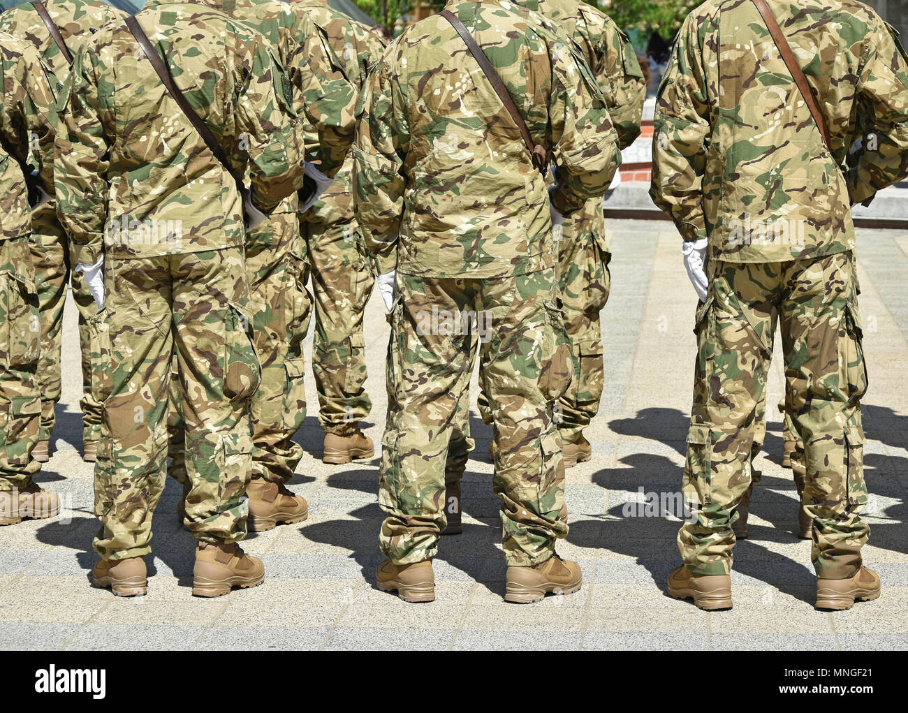 Soldiers standing in a row at the military parade Stock Photo - Alamy
