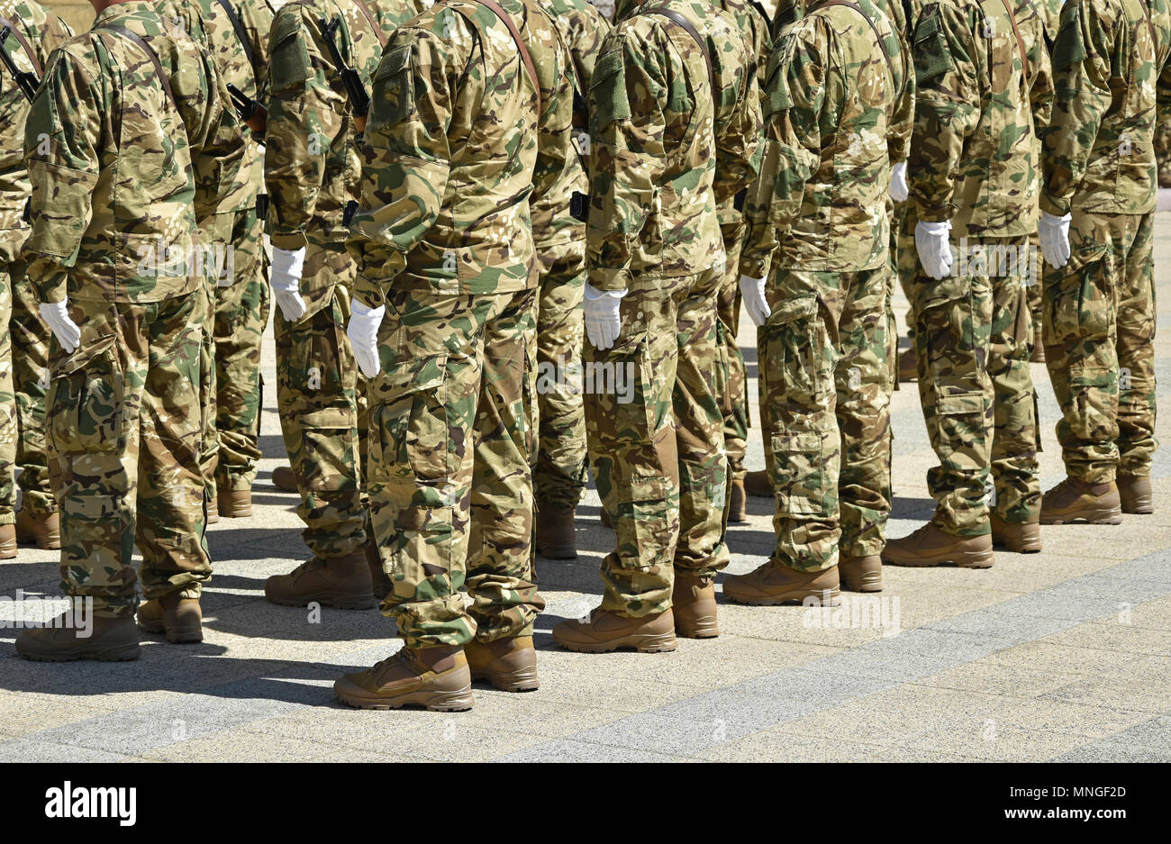 Soldiers standing in a row at the military parade Stock Photo - Alamy