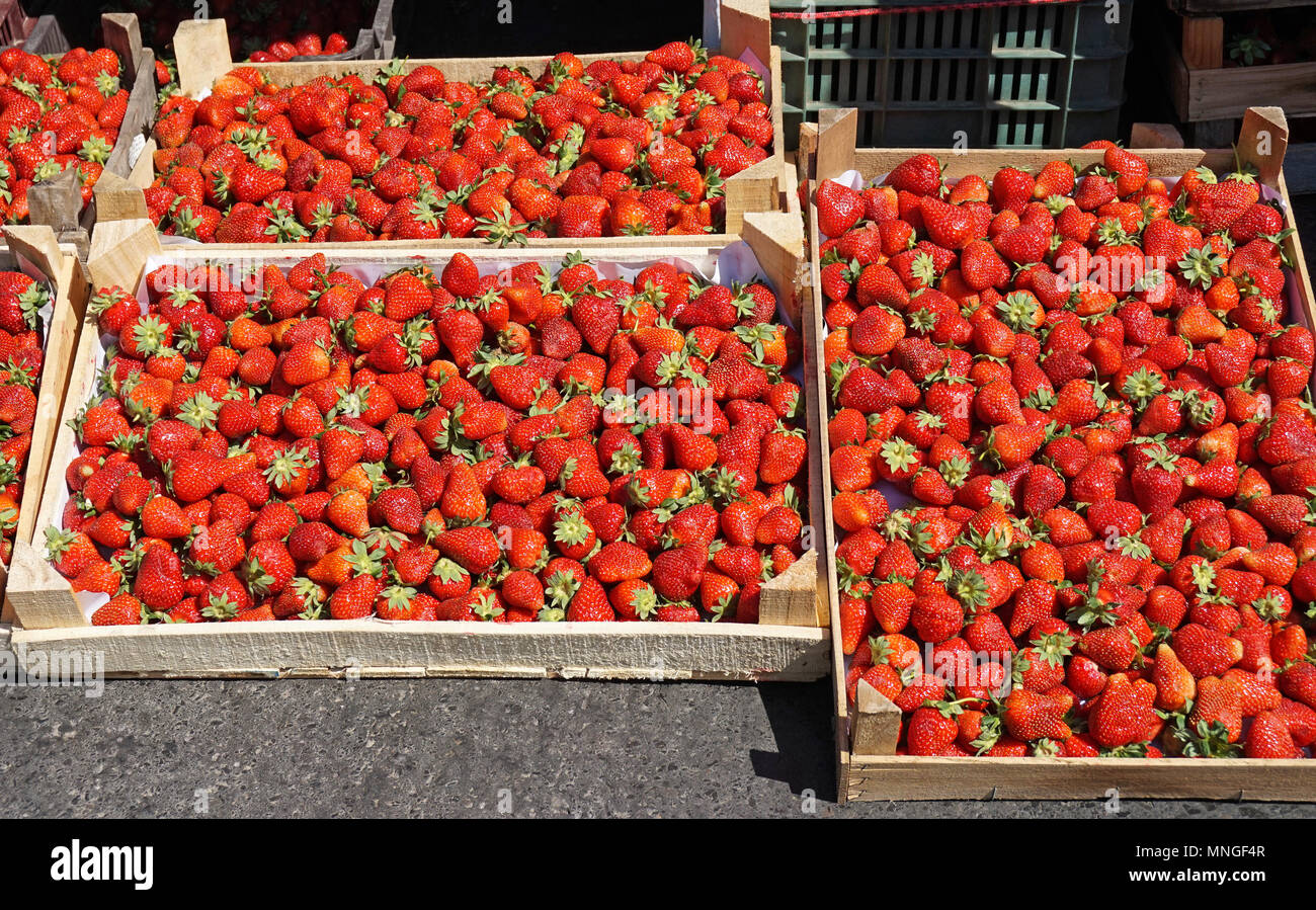 Strawberry for sale at the grocery Stock Photo - Alamy