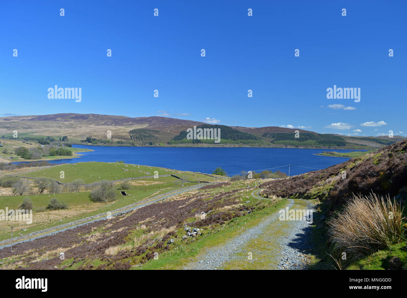 Llyn celyn hi-res stock photography and images - Alamy