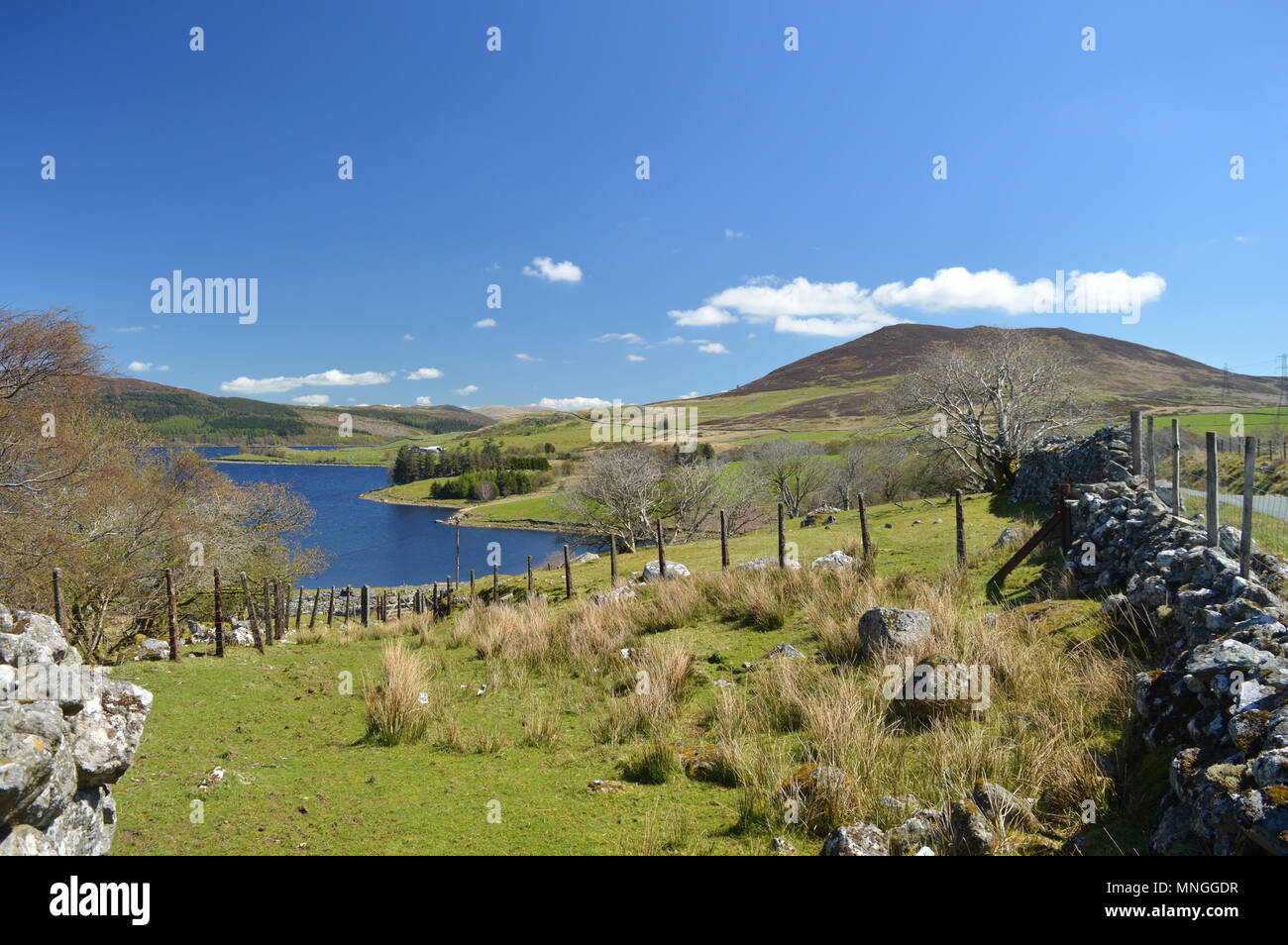Llyn Celyn, Bala Stock Photo - Alamy